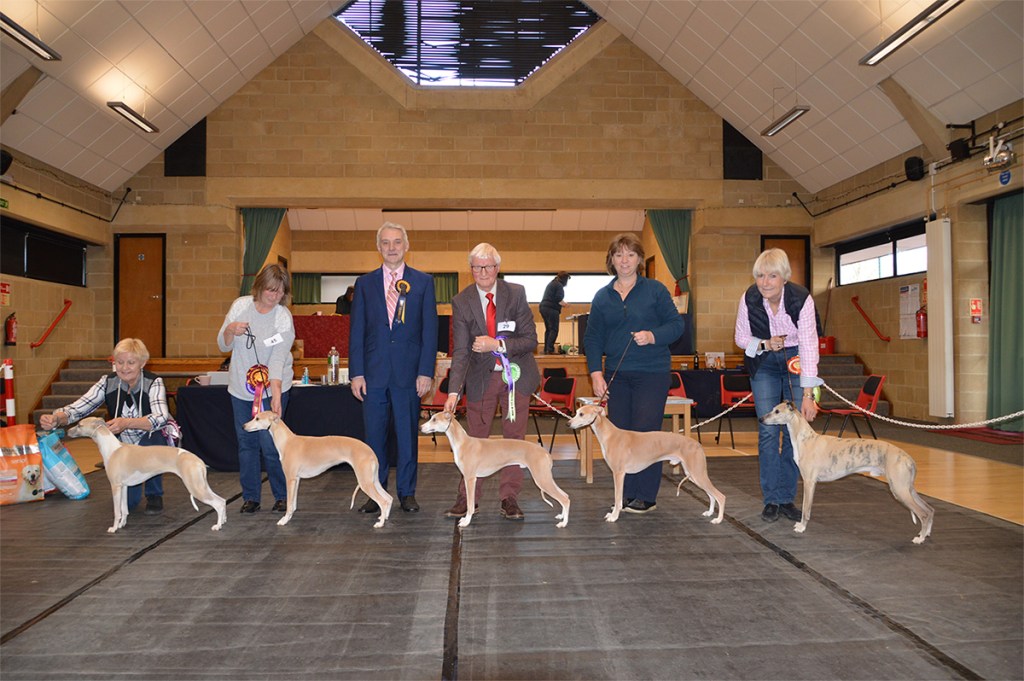 Whippet Club Limited Show enero 2020 – Resultados – Whippet Ukelele´s ...